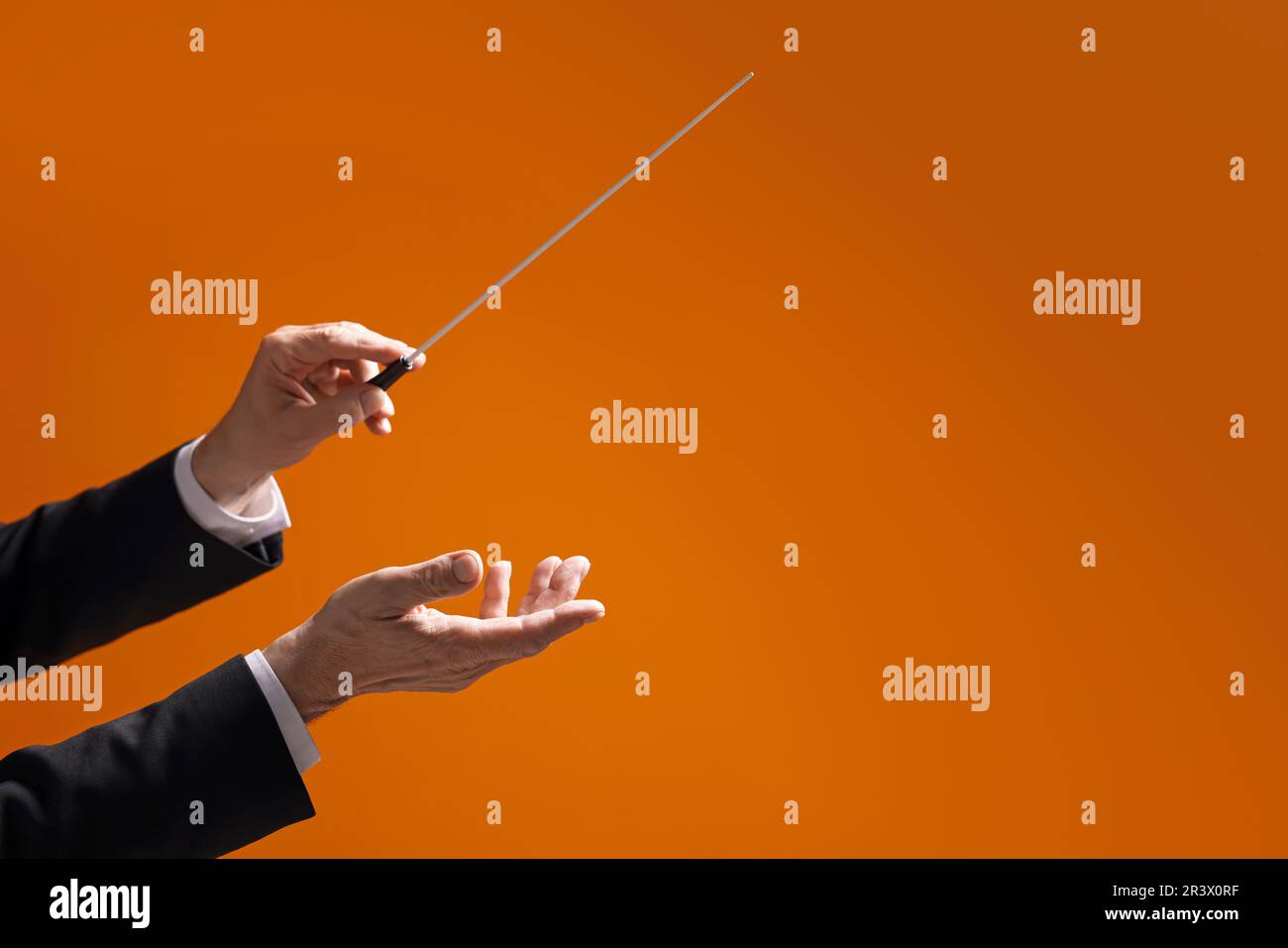 Professional conductor with baton on orange background, closeup. Space ...