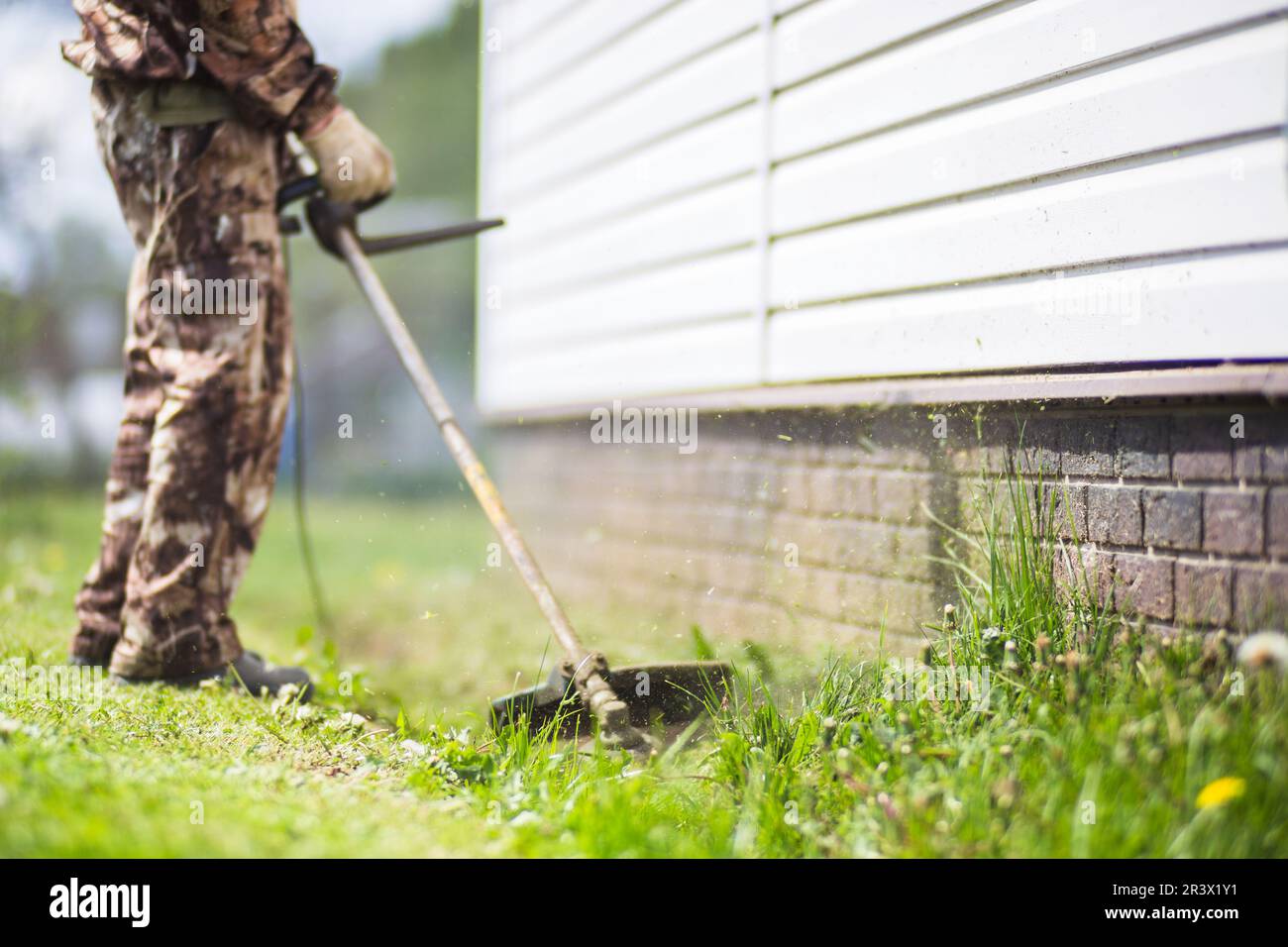 Man mowing tall grass with electric or petrol lawn trimmer in backyard ...