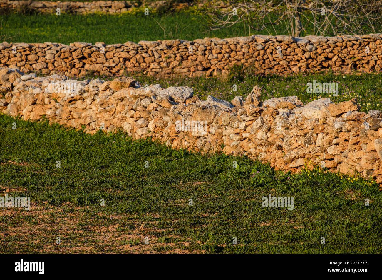 Traditional walls of agricultural parcels Stock Photo - Alamy
