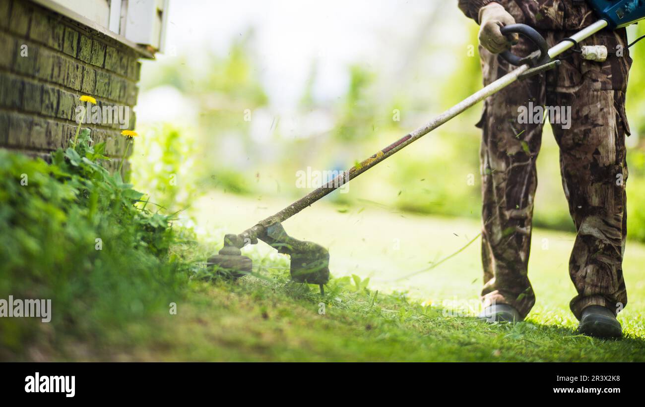 Man mowing tall grass with electric or petrol lawn trimmer in backyard ...