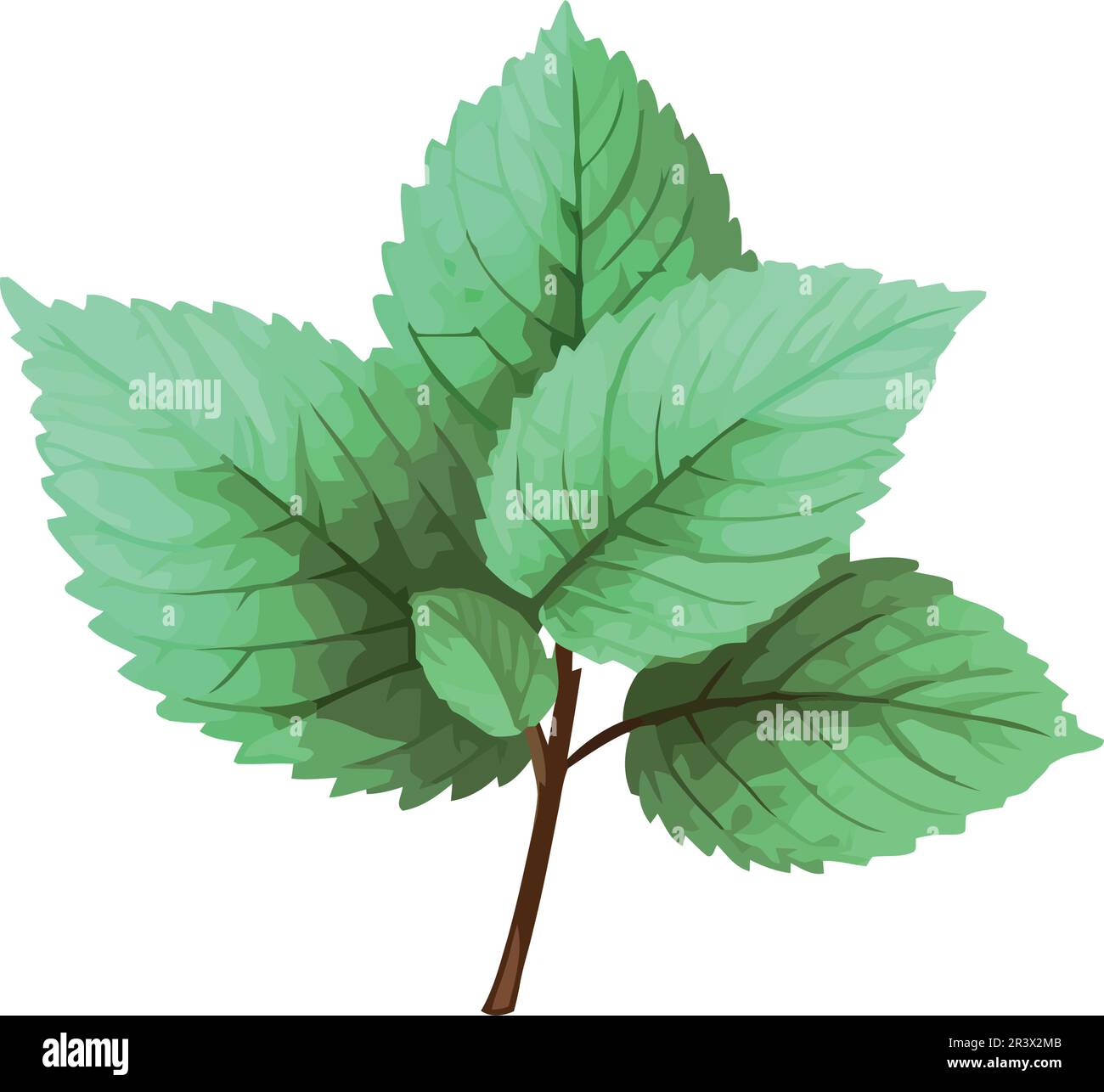 Nature artistry on display, a leafy plant masterpiece Stock Vector ...