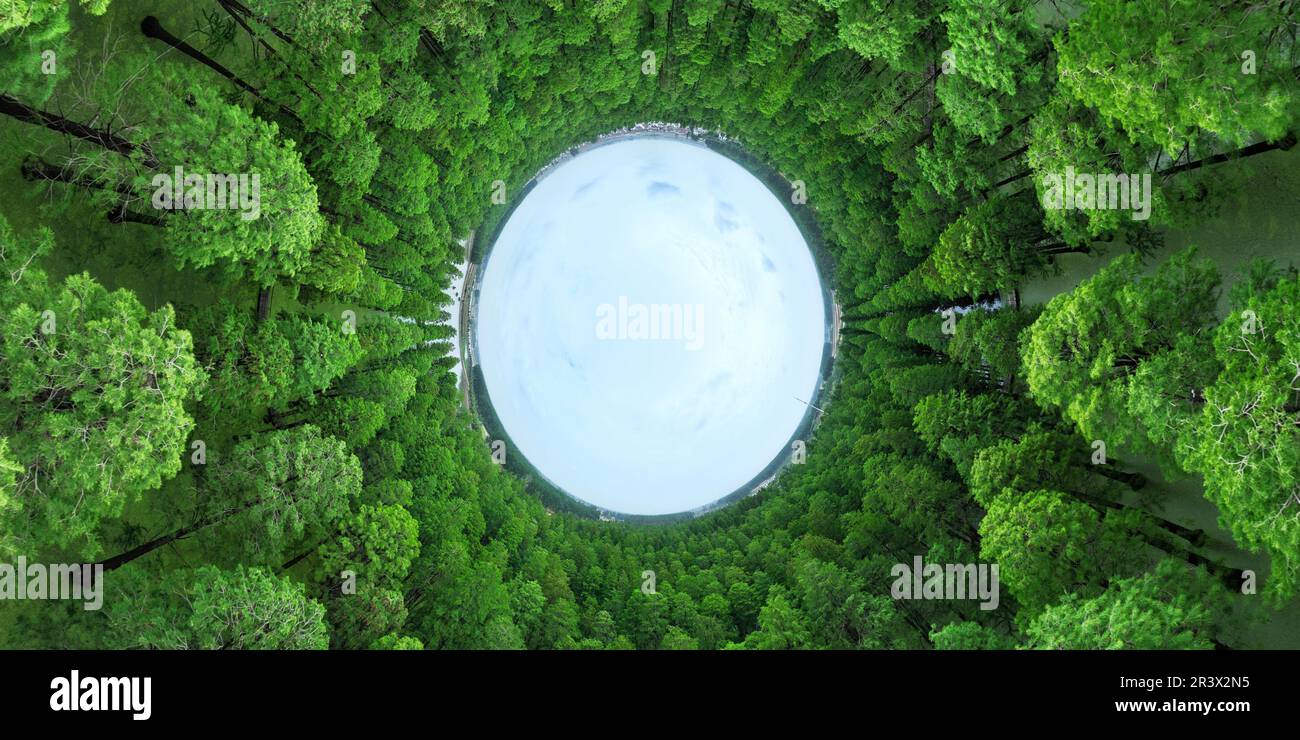 Aerial photo shows the summer scenery of Luyang Lake Wetland Park in ...