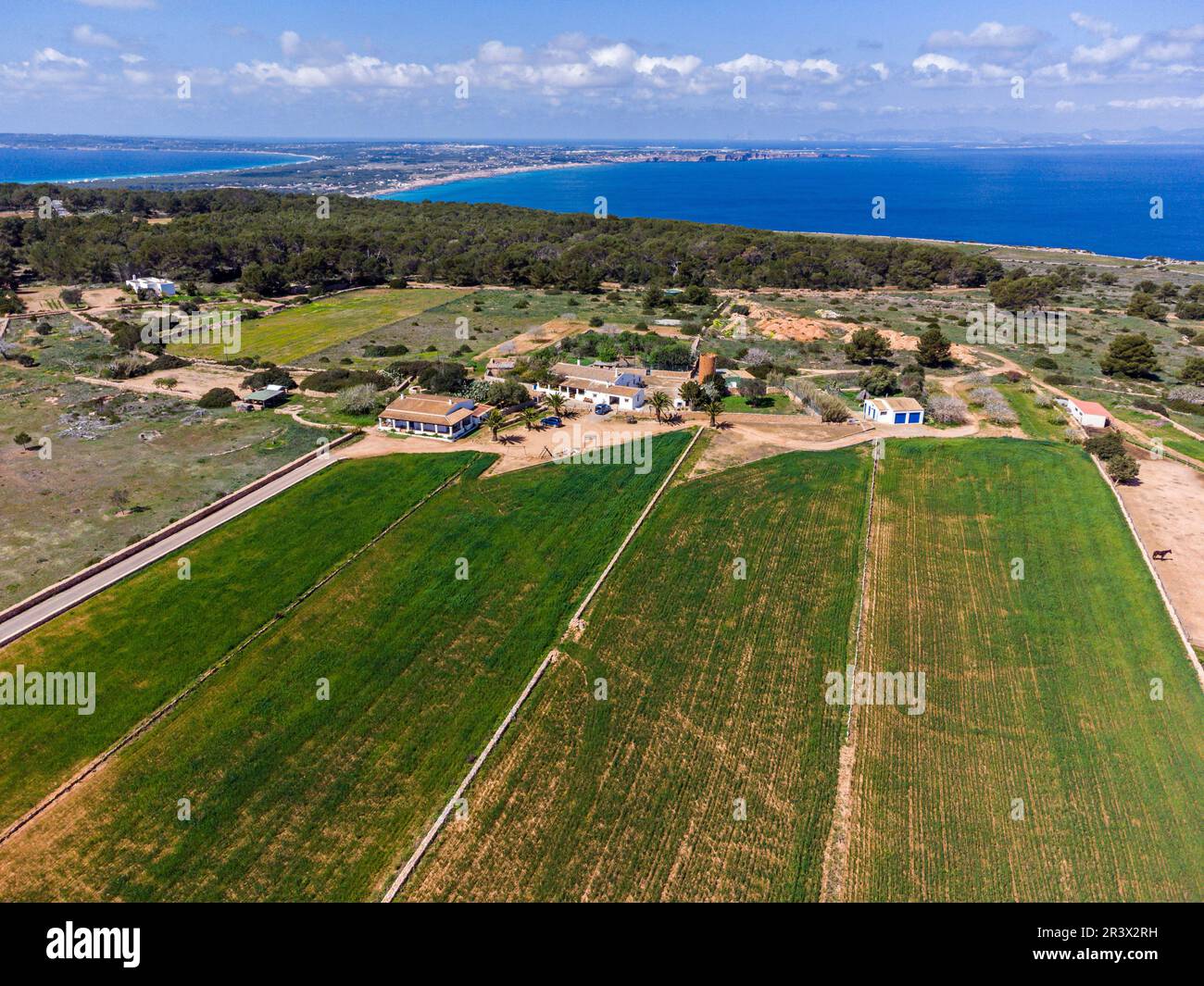 Cultivation field managed by the cooperative of Formentera Stock Photo ...