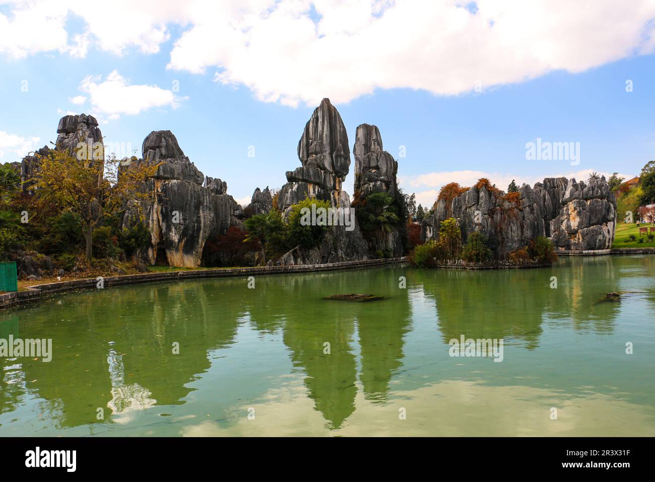 Hainan national forest park hi-res stock photography and images - Alamy