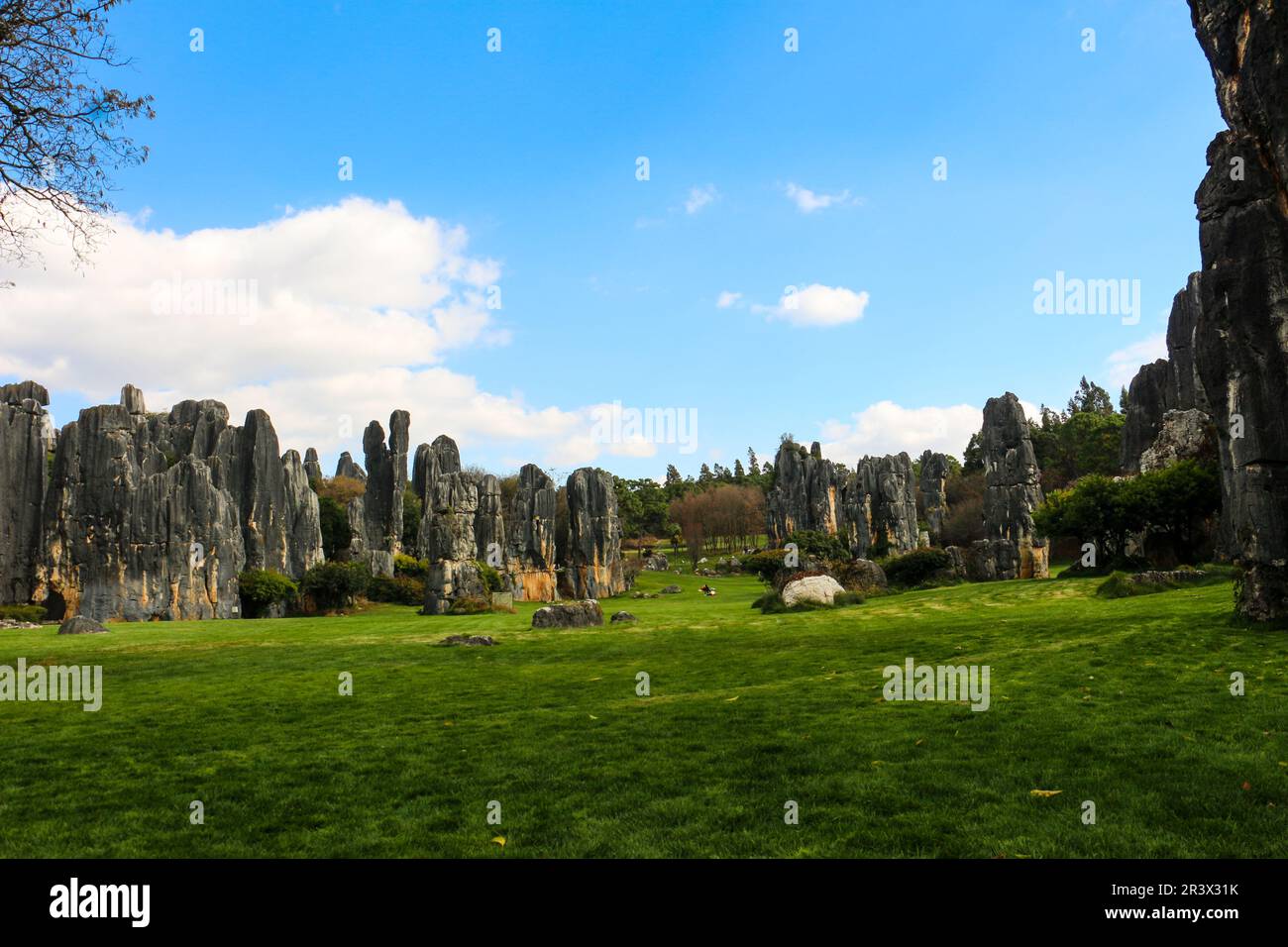 Hainan national forest park hi-res stock photography and images - Alamy