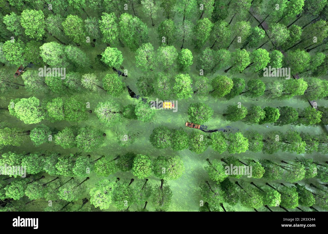 Aerial photo shows the summer scenery of Luyang Lake Wetland Park in ...