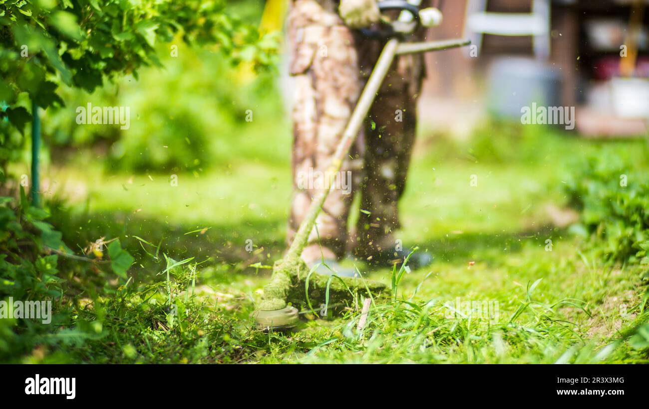 Man mowing tall grass with electric or petrol lawn trimmer in backyard ...