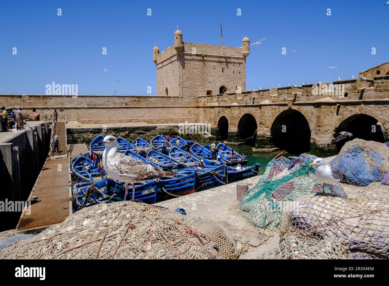 Castelo Real at fishing port Stock Photo - Alamy