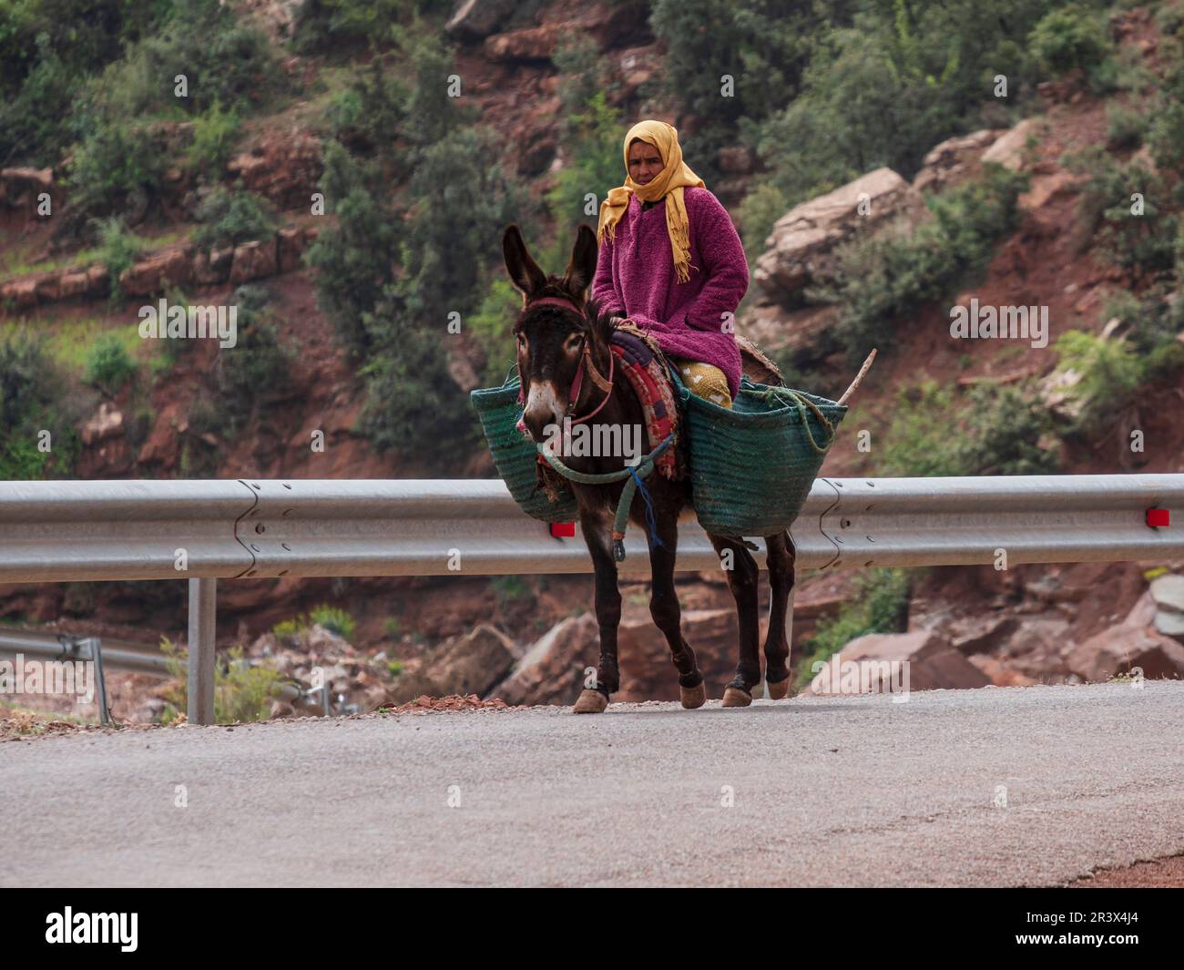 Woman riding donkey hi-res stock photography and images - Alamy