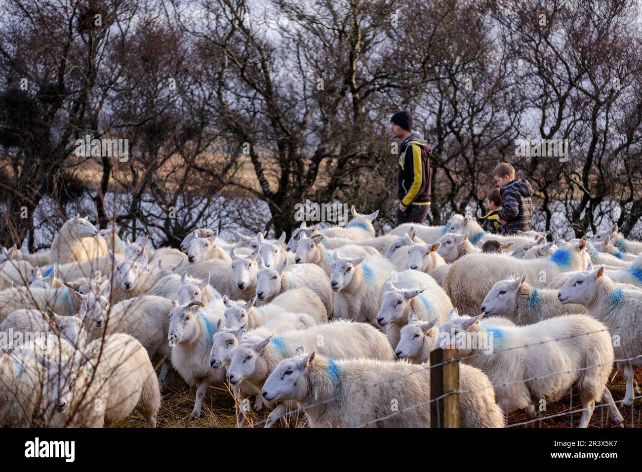 Color de color primario hi-res stock photography and images - Alamy