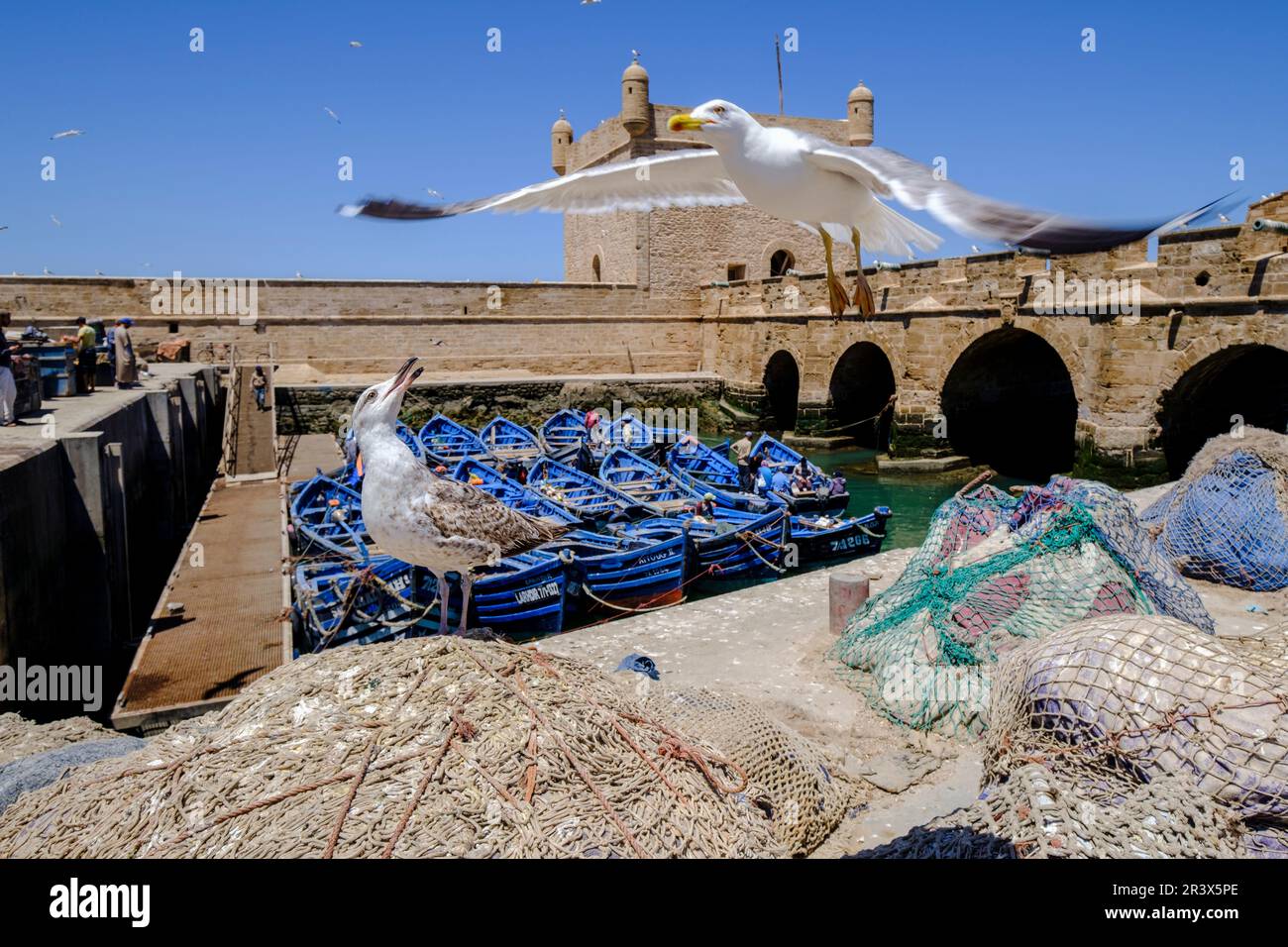 Castelo Real at fishing port Stock Photo - Alamy