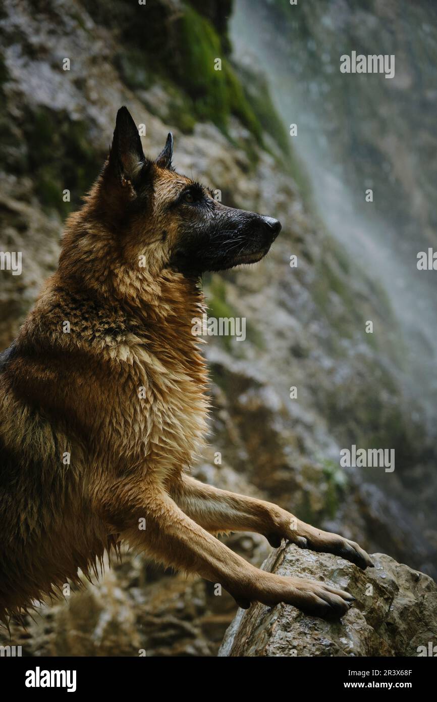 Stays clean hi-res stock photography and images - Alamy