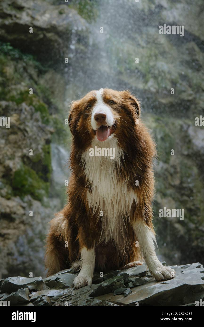 Aussie traveler hi-res stock photography and images - Alamy