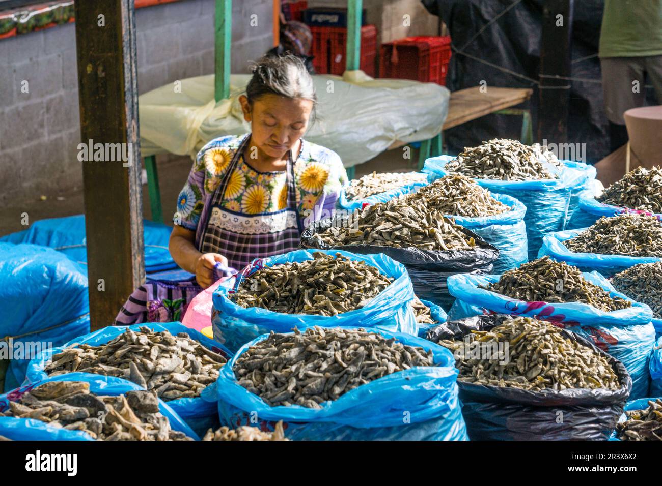 Mercado de pescado tradicional hi-res stock photography and images - Alamy