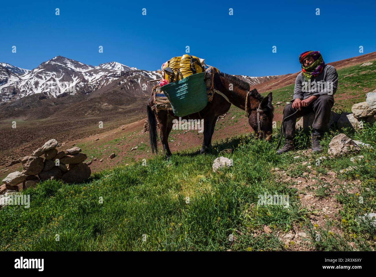Muleteer hi-res stock photography and images - Alamy