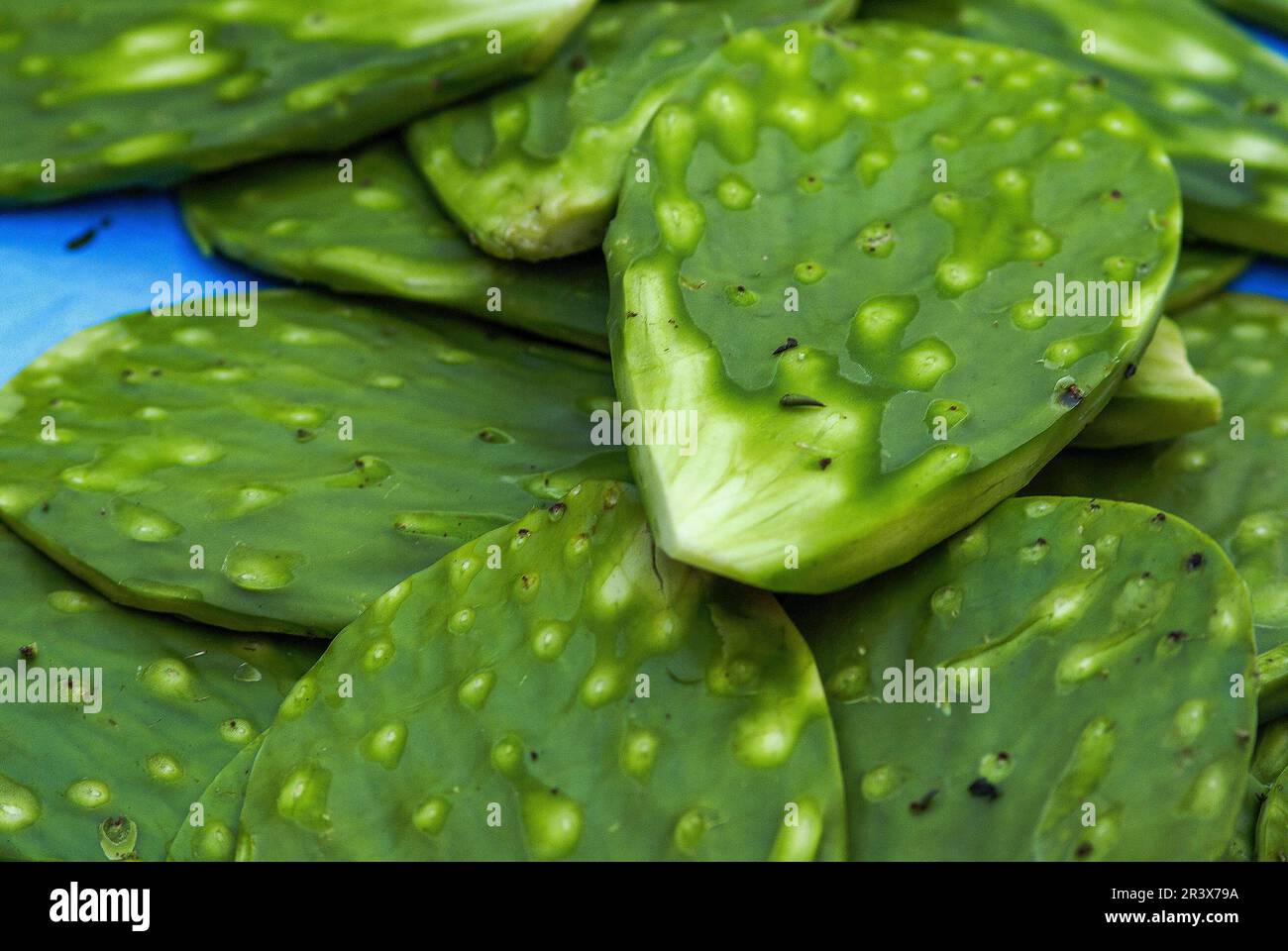 Mercado de morelos hi-res stock photography and images - Alamy