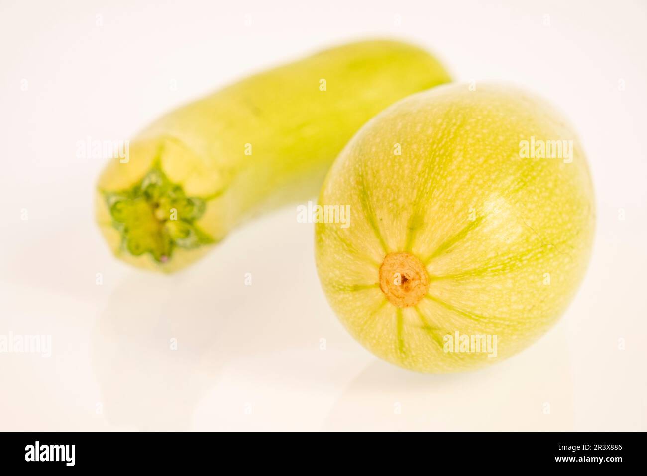 two zucchini, C. pepo subsp. pepo Vegetable Marrow Group Stock Photo ...