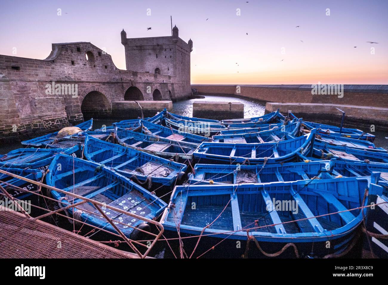 Real fishing hi-res stock photography and images - Alamy