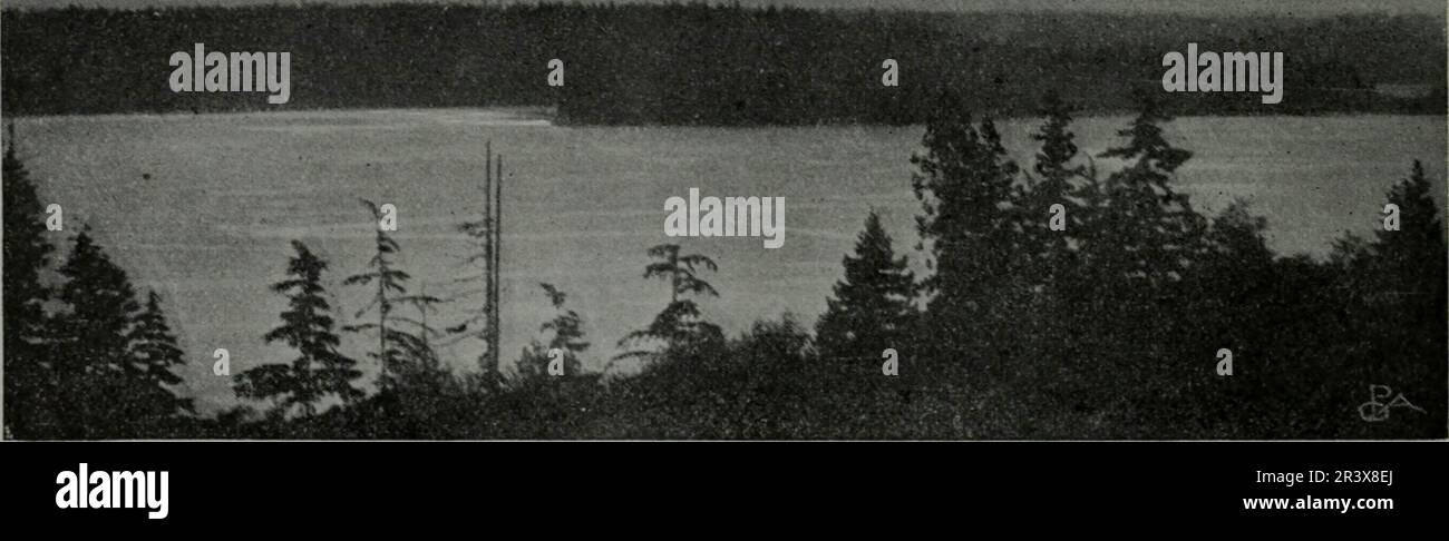 "Western field" (1902 Stock Photo - Alamy