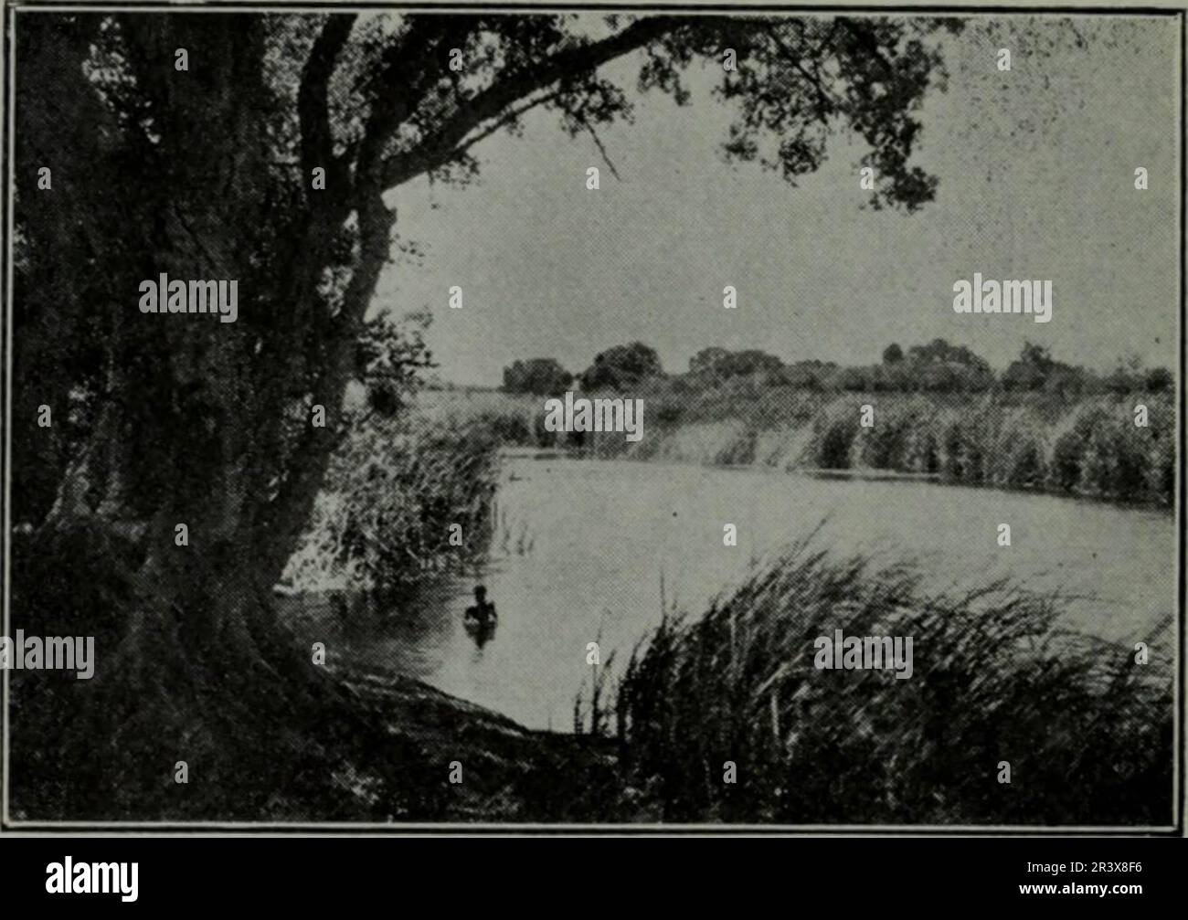 "Western field" (1902 Stock Photo - Alamy