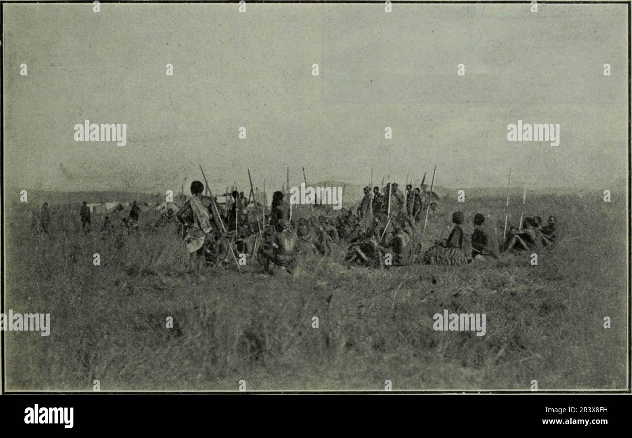 "Western field" (1902 Stock Photo - Alamy