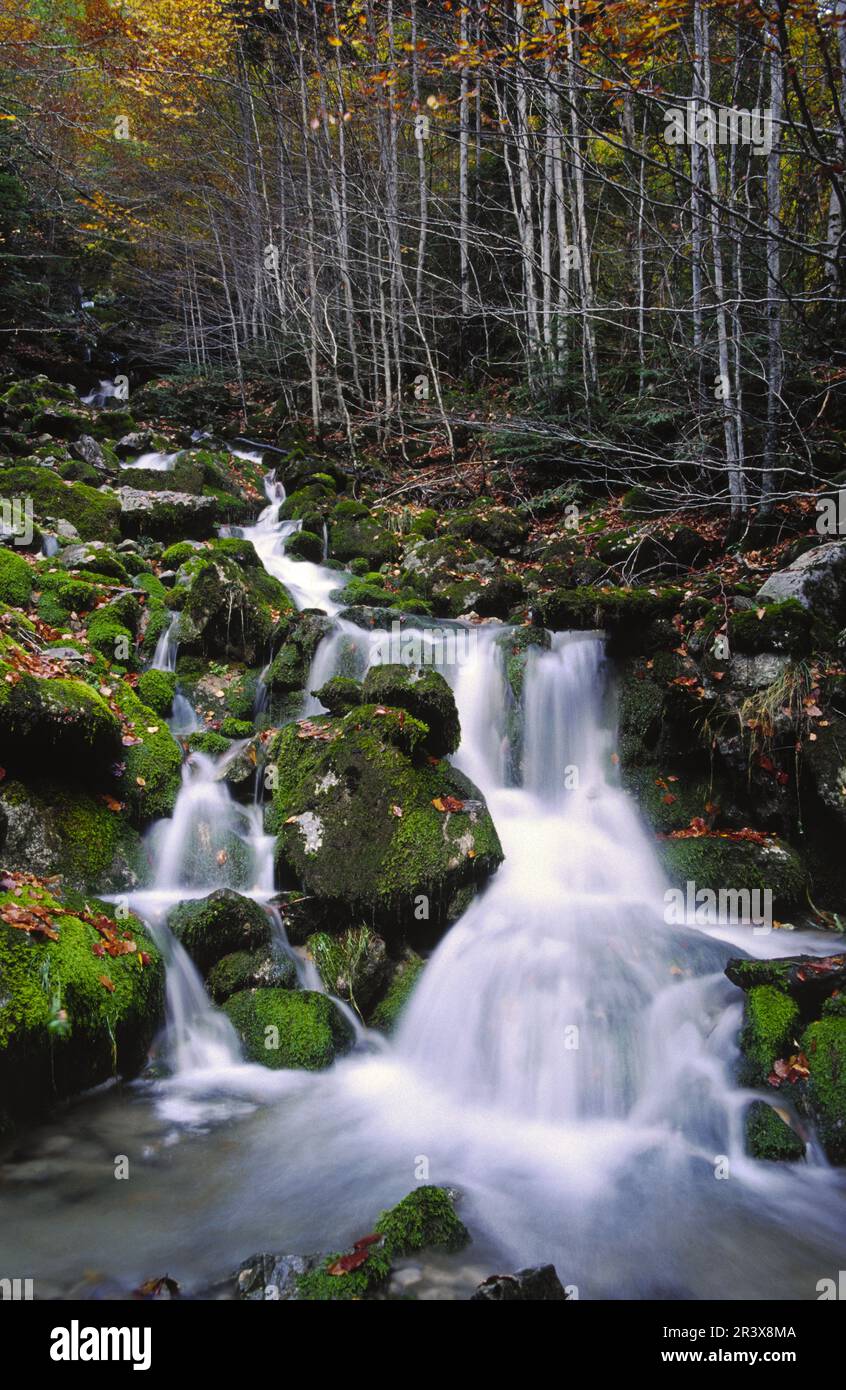 La Capradiza.Valle de Añisclo.Parque Nacional Ordesa y Monte Perdido ...