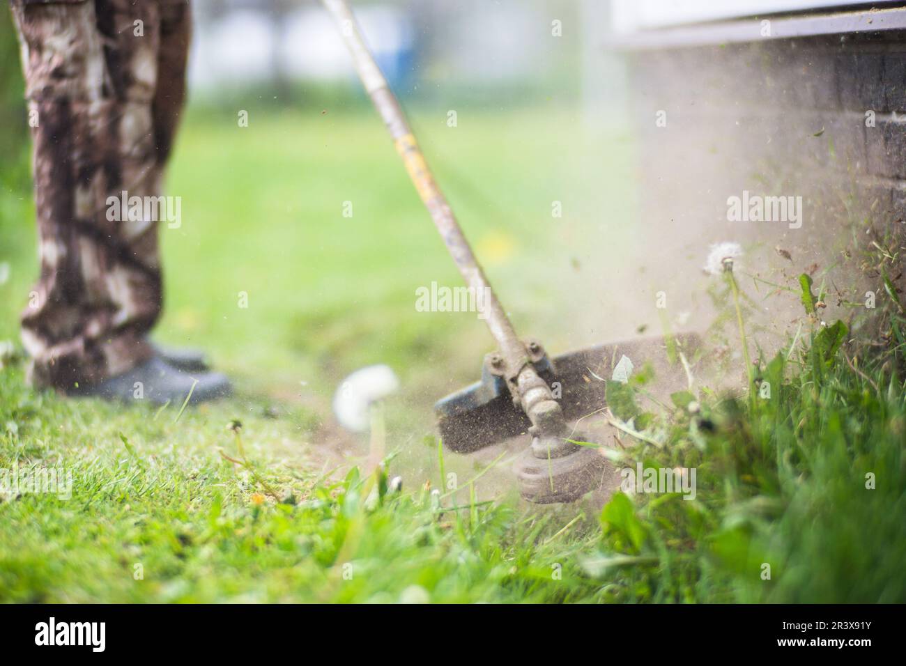 Man mowing tall grass with electric or petrol lawn trimmer in backyard ...