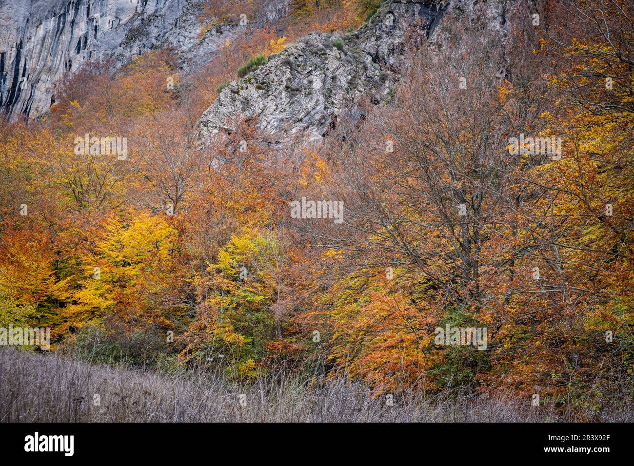 Ciñera de Gordón, Leon, Spain Stock Photo - Alamy