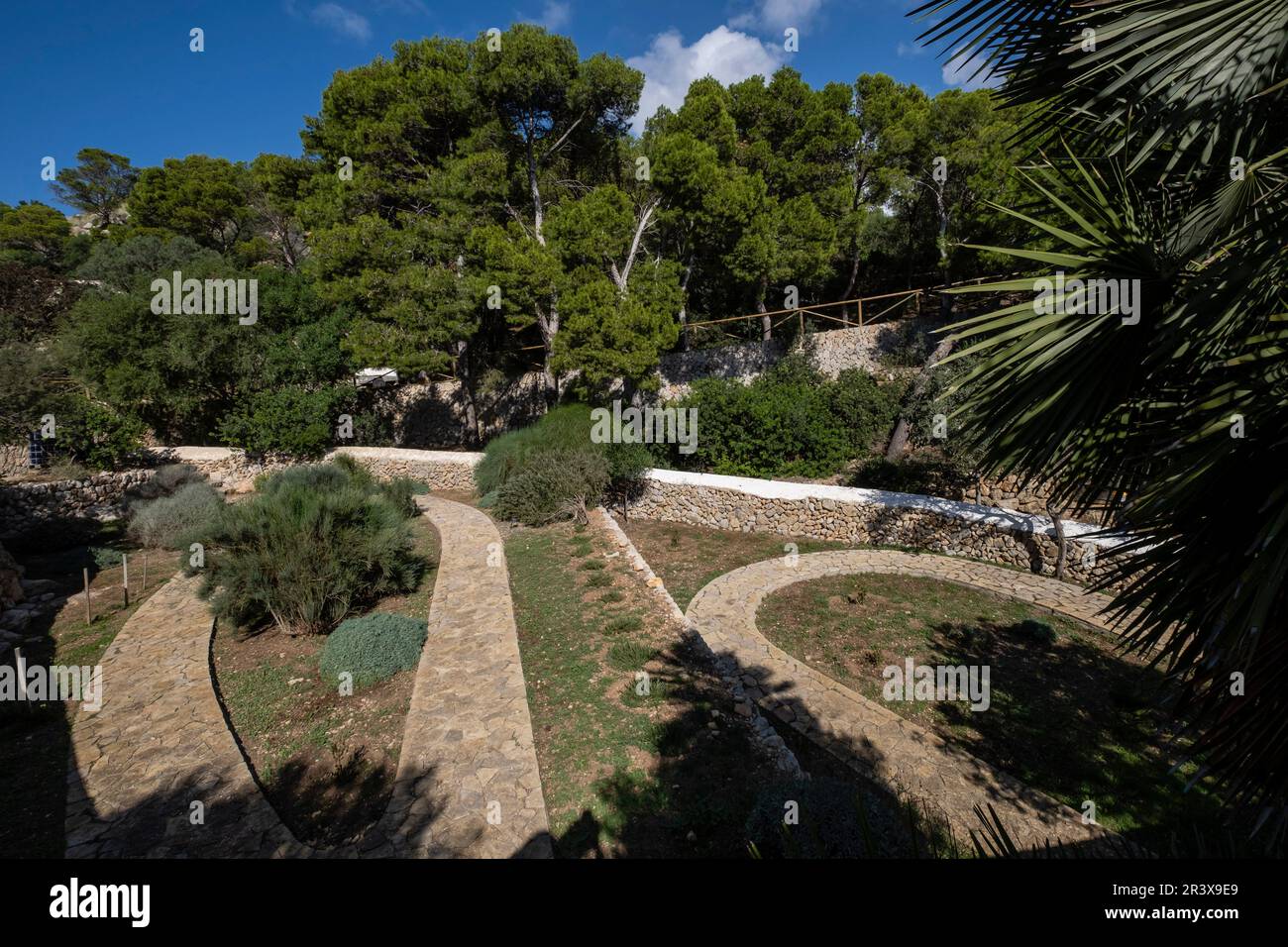 Mediterranean garden of native plants, Sa Dragonera natural park ...