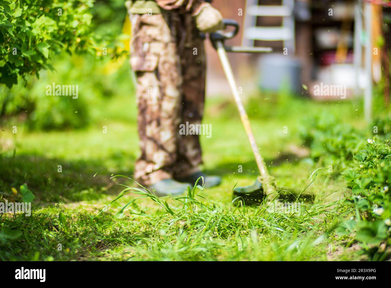 Man mowing tall grass with electric or petrol lawn trimmer in backyard ...