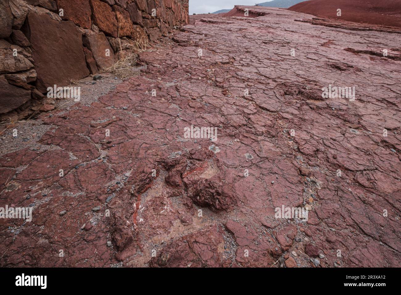 dinosaur footprints, middle to upper jurassic, geo park Iouaridene ...