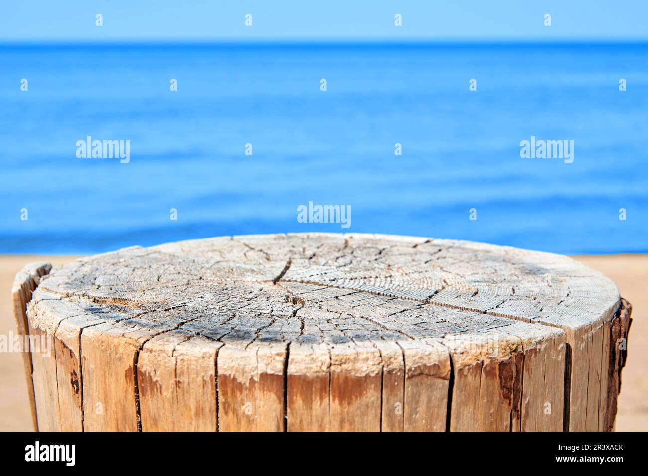 Weather beaten stump hi-res stock photography and images - Alamy