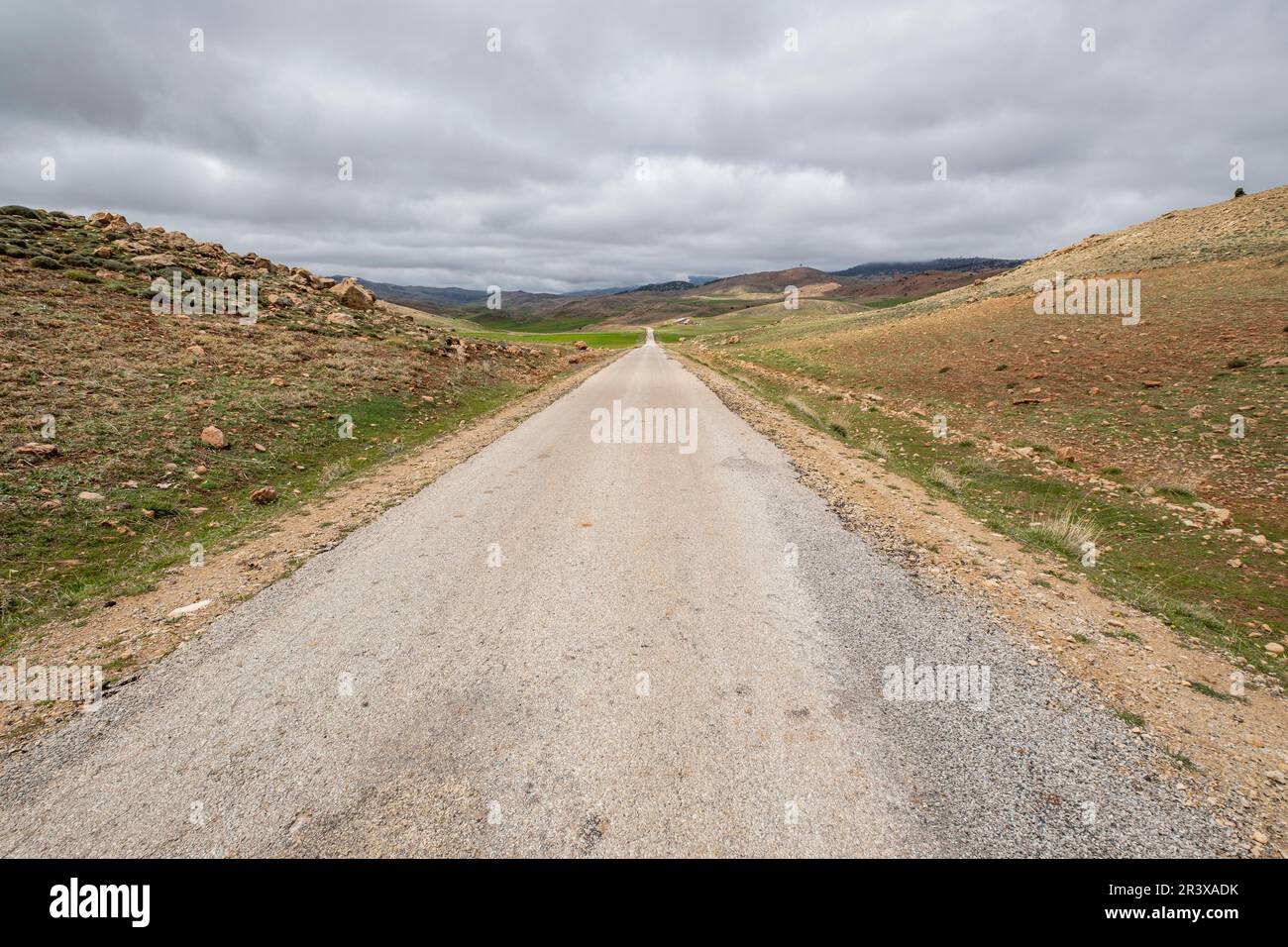 parque nacional Ifran, Atlas Medio, Marruecos, Africa Stock Photo - Alamy