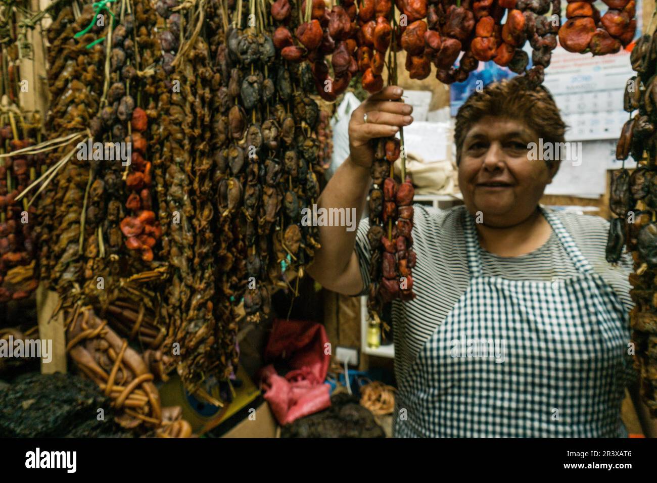 productos del mar, Castro, archipiélago de Chiloé ,provincia de Chiloé ...
