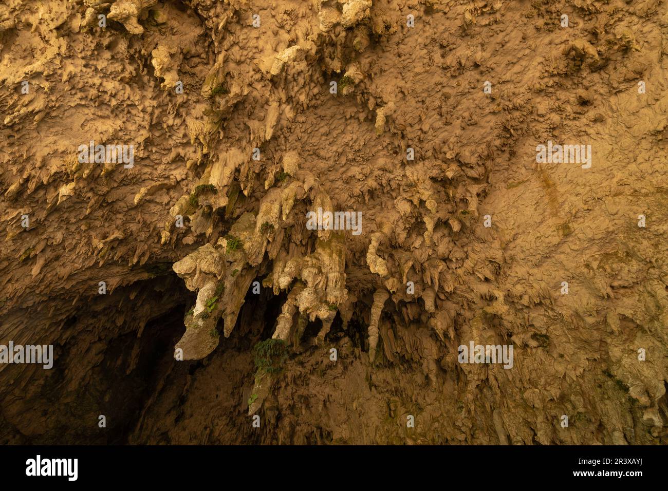 Hobbit Cave or Liang Bua cave, or rats cave, on the island of Flores ...