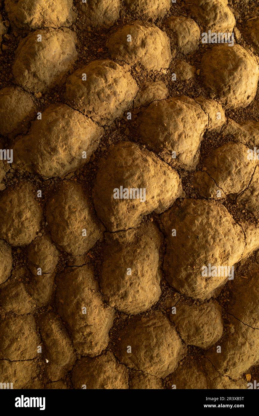 Hobbit Cave or Liang Bua cave, or rats cave, on the island of Flores ...