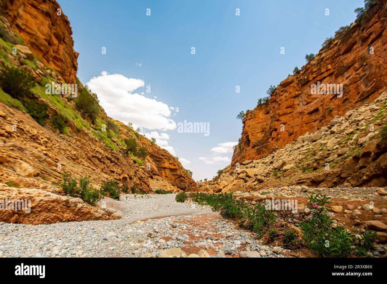 River banks of Ahansal river in Morocco Stock Photo - Alamy