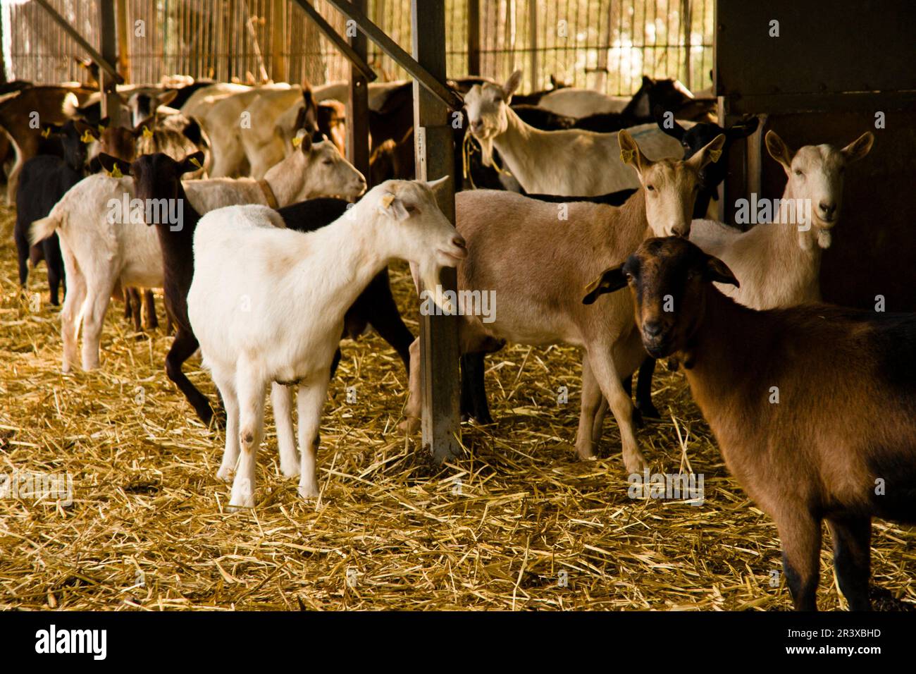 Lugares tipicos hi-res stock photography and images - Alamy