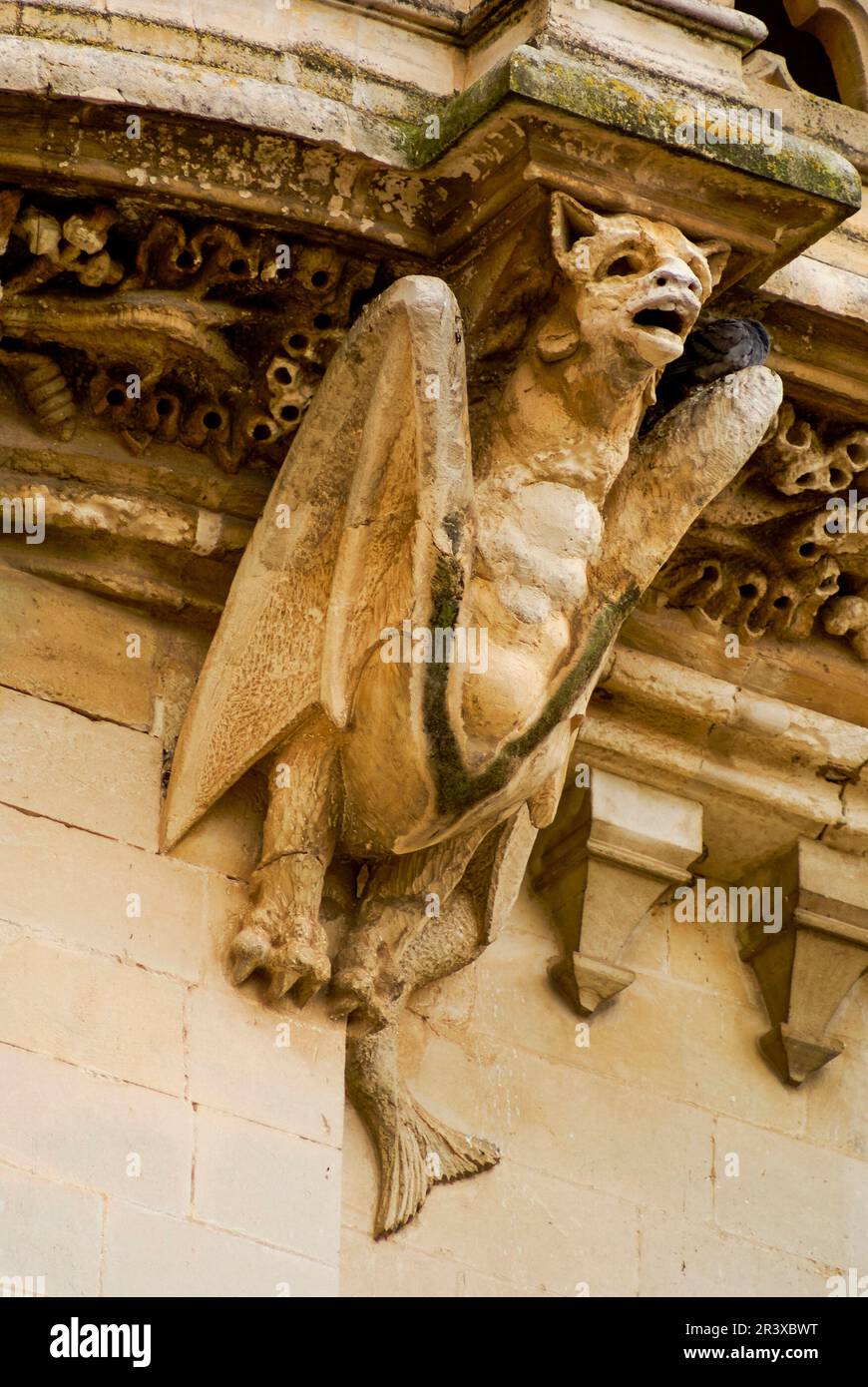 Gárgolas en la iglesia hi-res stock photography and images - Alamy