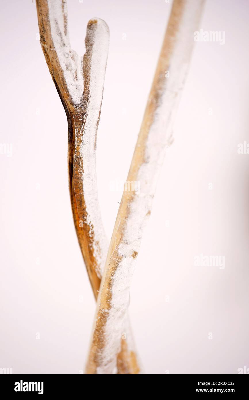 Visit coll hi-res stock photography and images - Alamy