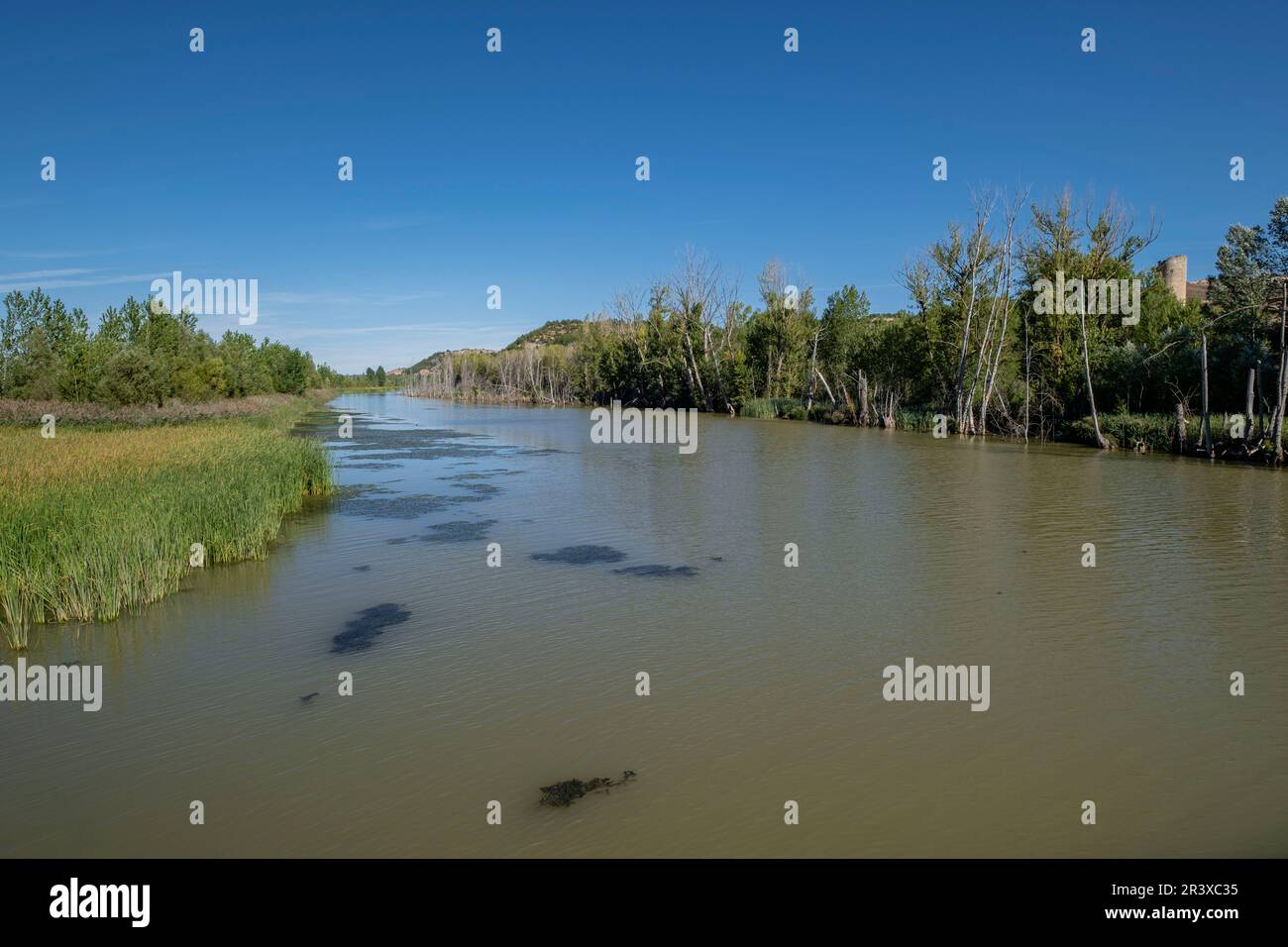 Consumo de humedad hi-res stock photography and images - Alamy