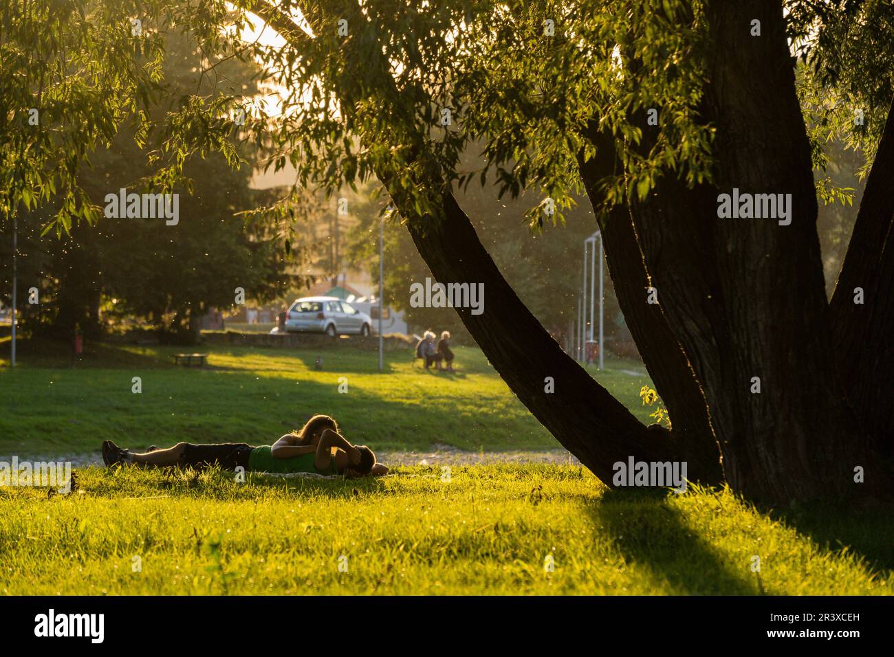 parque Sosenki , junto al rio San, Sanok,voivodato de Subcarpacia ...