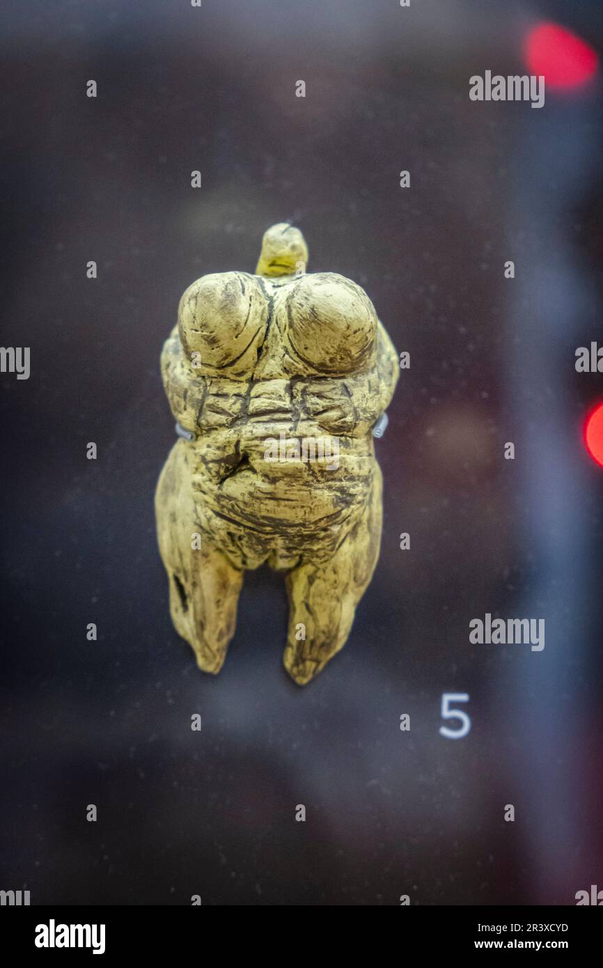 ivory venus, superior paleolithic aurignacian, Museo de la evolución ...