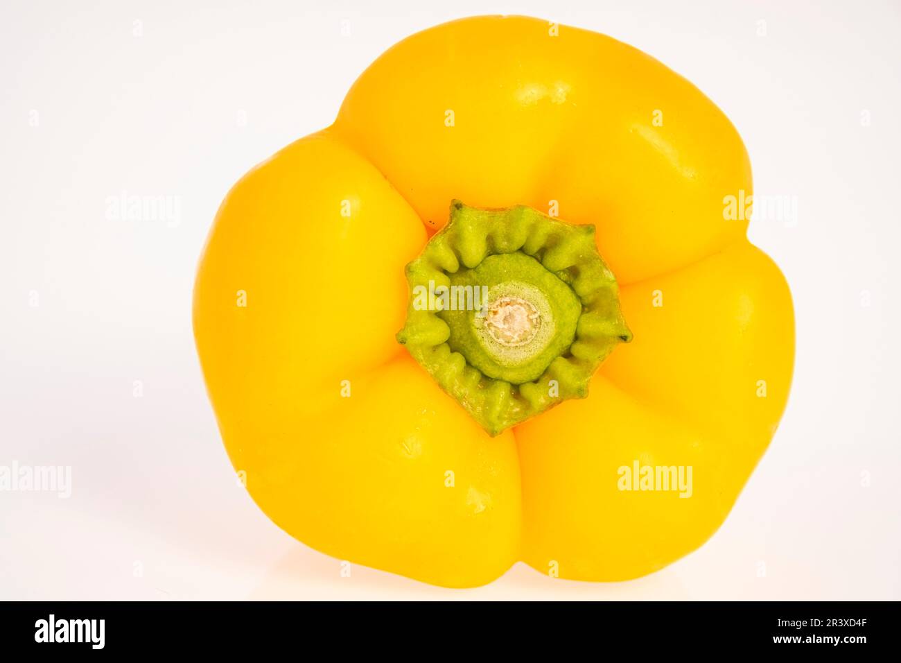 Planta mexico hi-res stock photography and images - Alamy