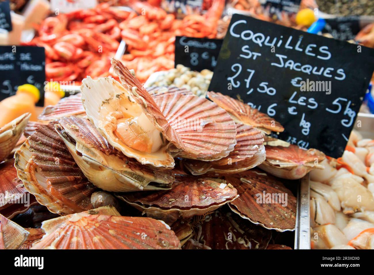 Scallops in a fish shop Stock Photo - Alamy