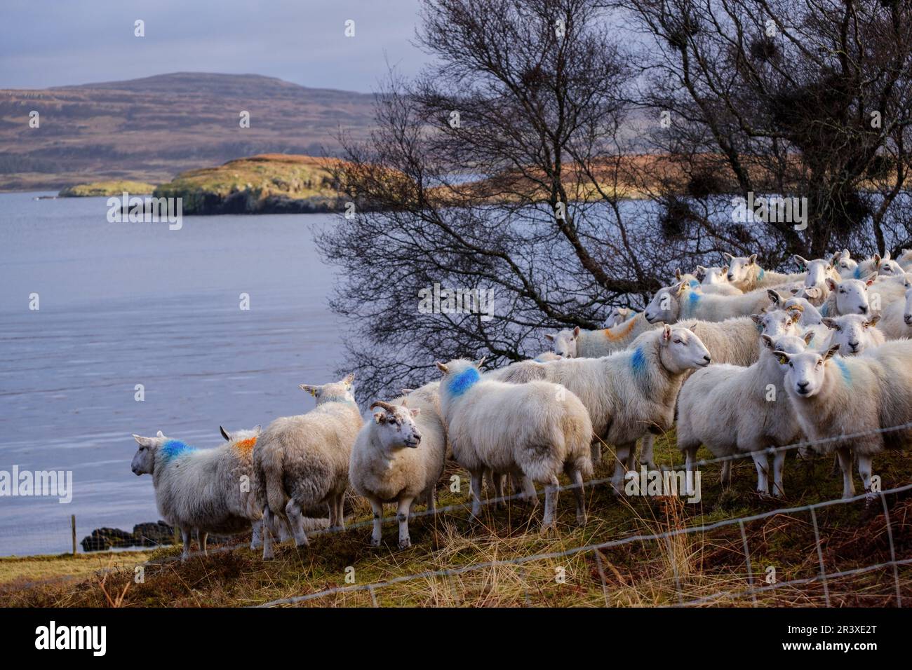 Sector primario hi-res stock photography and images - Alamy