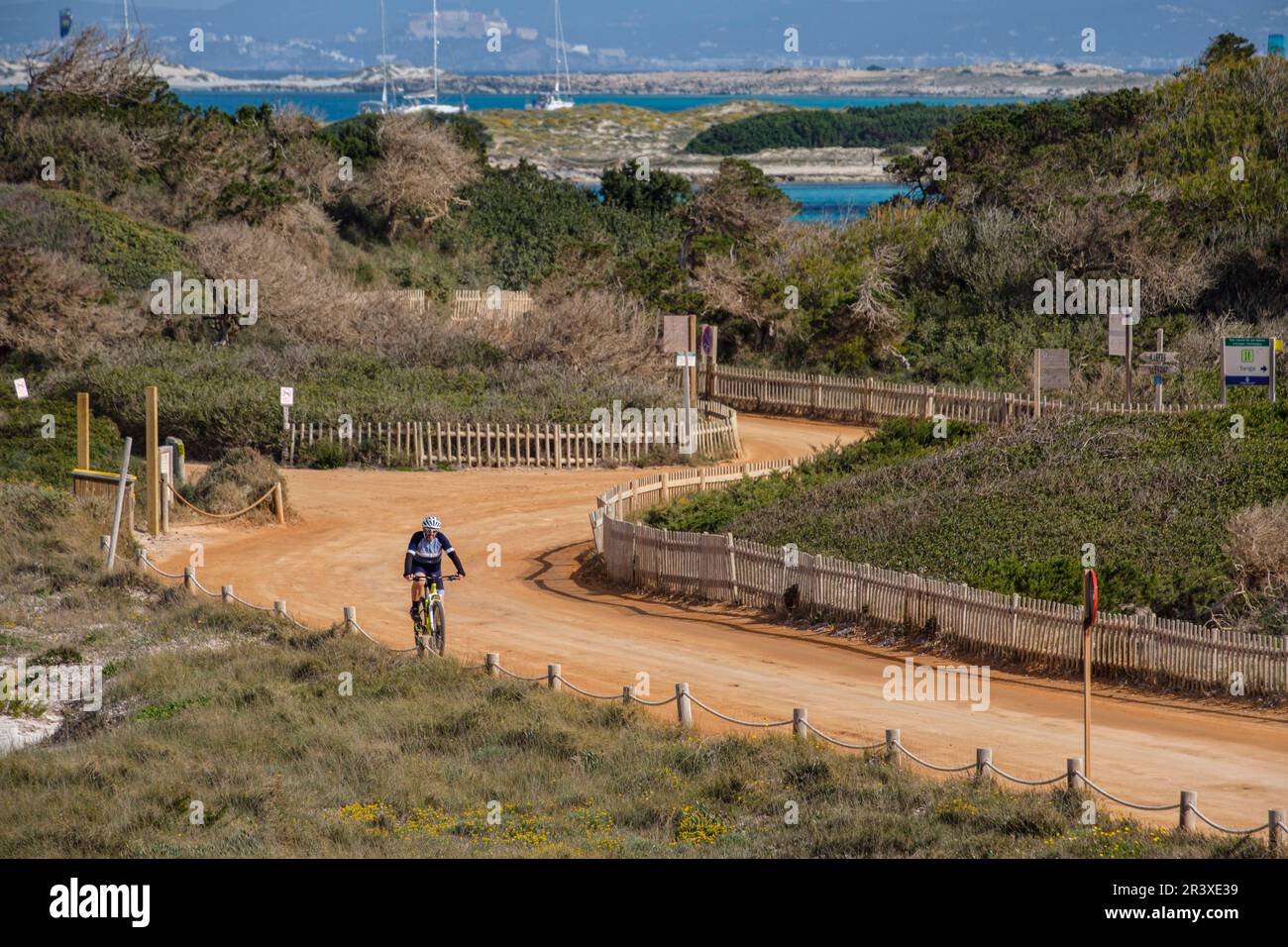 Tourist cycle on Illetes Path Stock Photo - Alamy