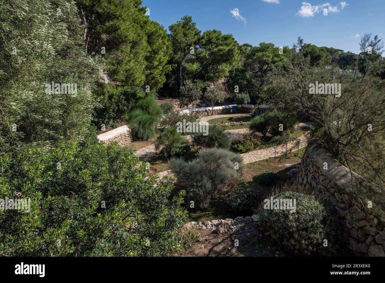 Mediterranean garden of native plants, Sa Dragonera natural park ...