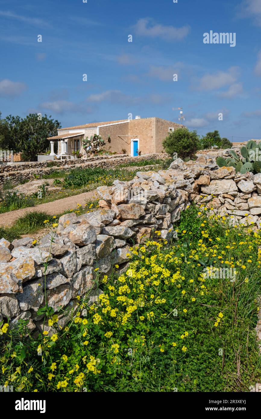 Traditional stone walls Stock Photo - Alamy