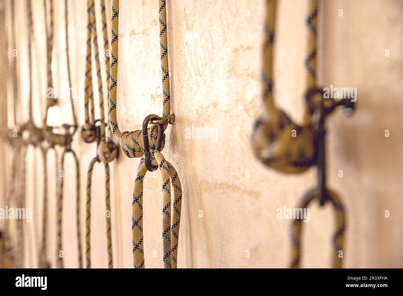 Yoga ropes hanging on empty studio wall. Iyengar yoga Stock Photo - Alamy